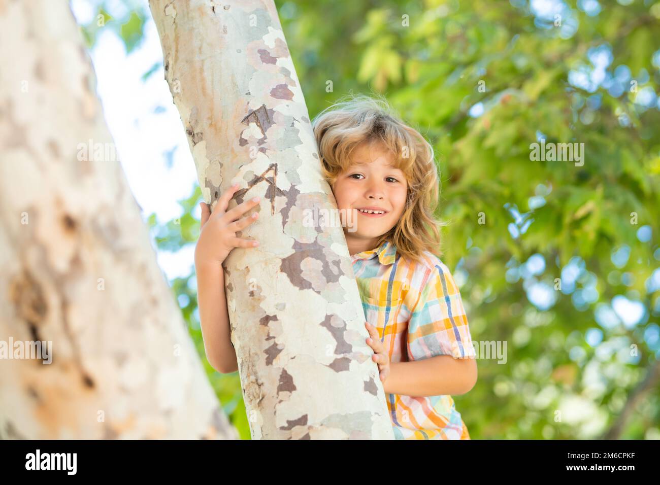 Child hugging a tree branch. Little boy kid on a tree branch. Kid ...