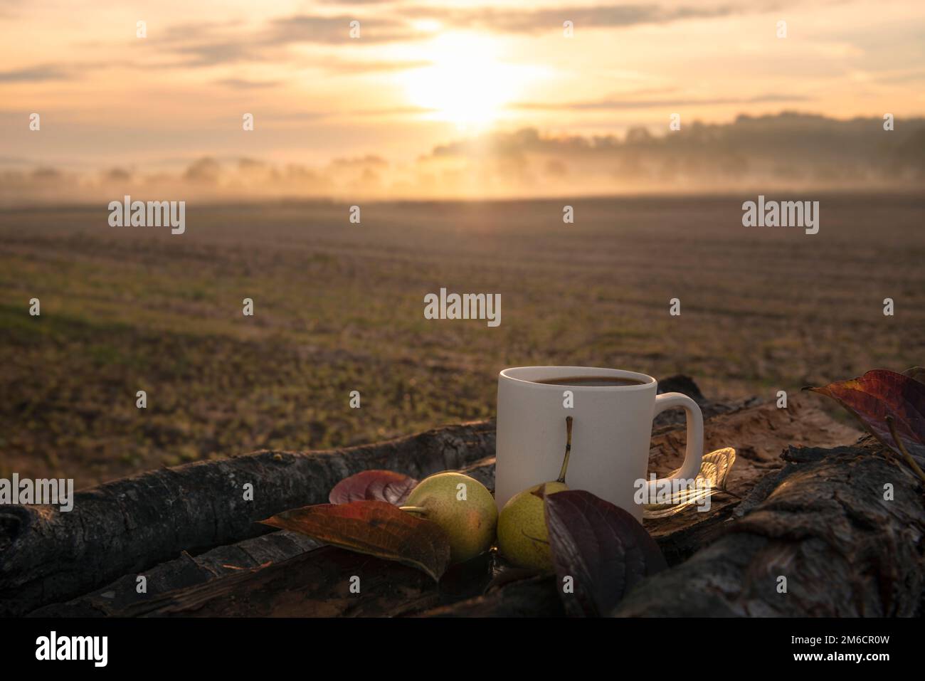 Outdoor breakfast with sunrise and mist Stock Photo - Alamy