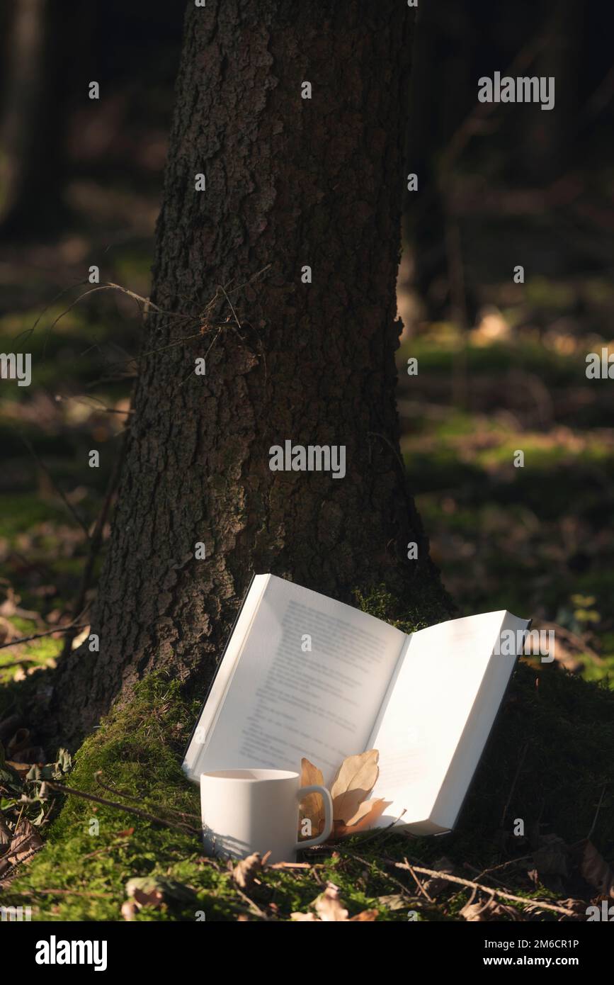 Book tree forest hi-res stock photography and images - Alamy
