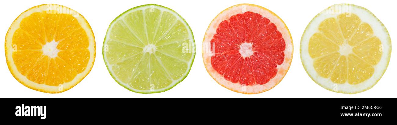 Citrus fruits southern fruits collection orange lemon fruits in a row ...