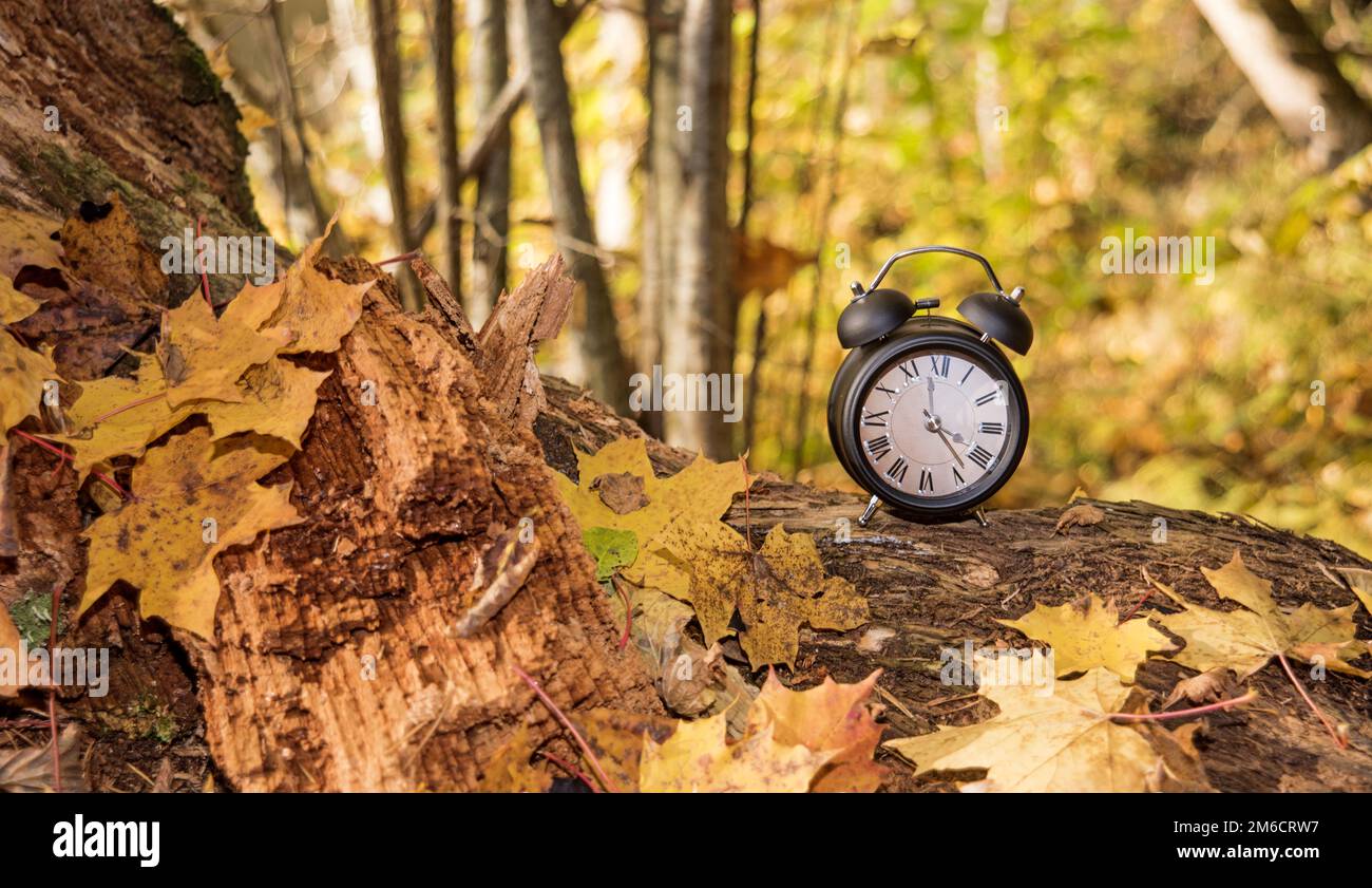 Vintage black alarm clock on autumn leaves. Time change abstract photo ...
