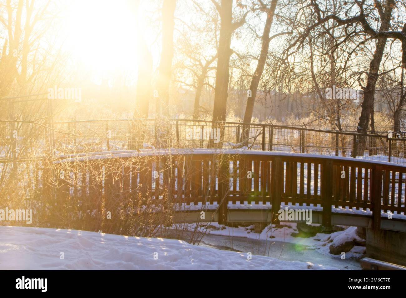 Calgary Zoo Alberta Stock Photo - Alamy