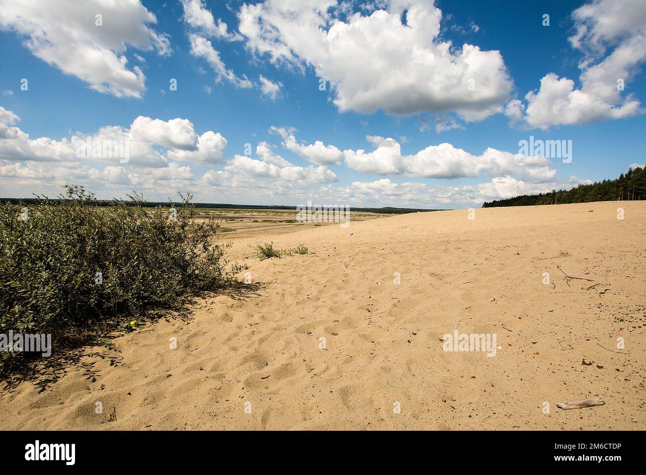 Bledowska Desert in Poland Stock Photo - Alamy