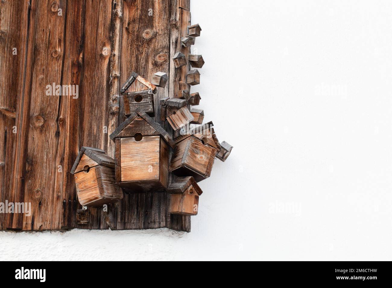 Bird boxes on tree hi-res stock photography and images - Alamy