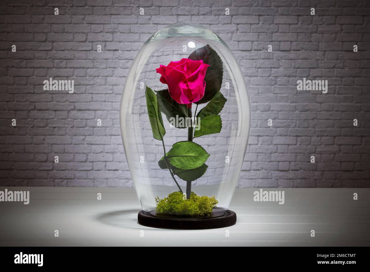 Red eternal rose under the glass dome Stock Photo - Alamy