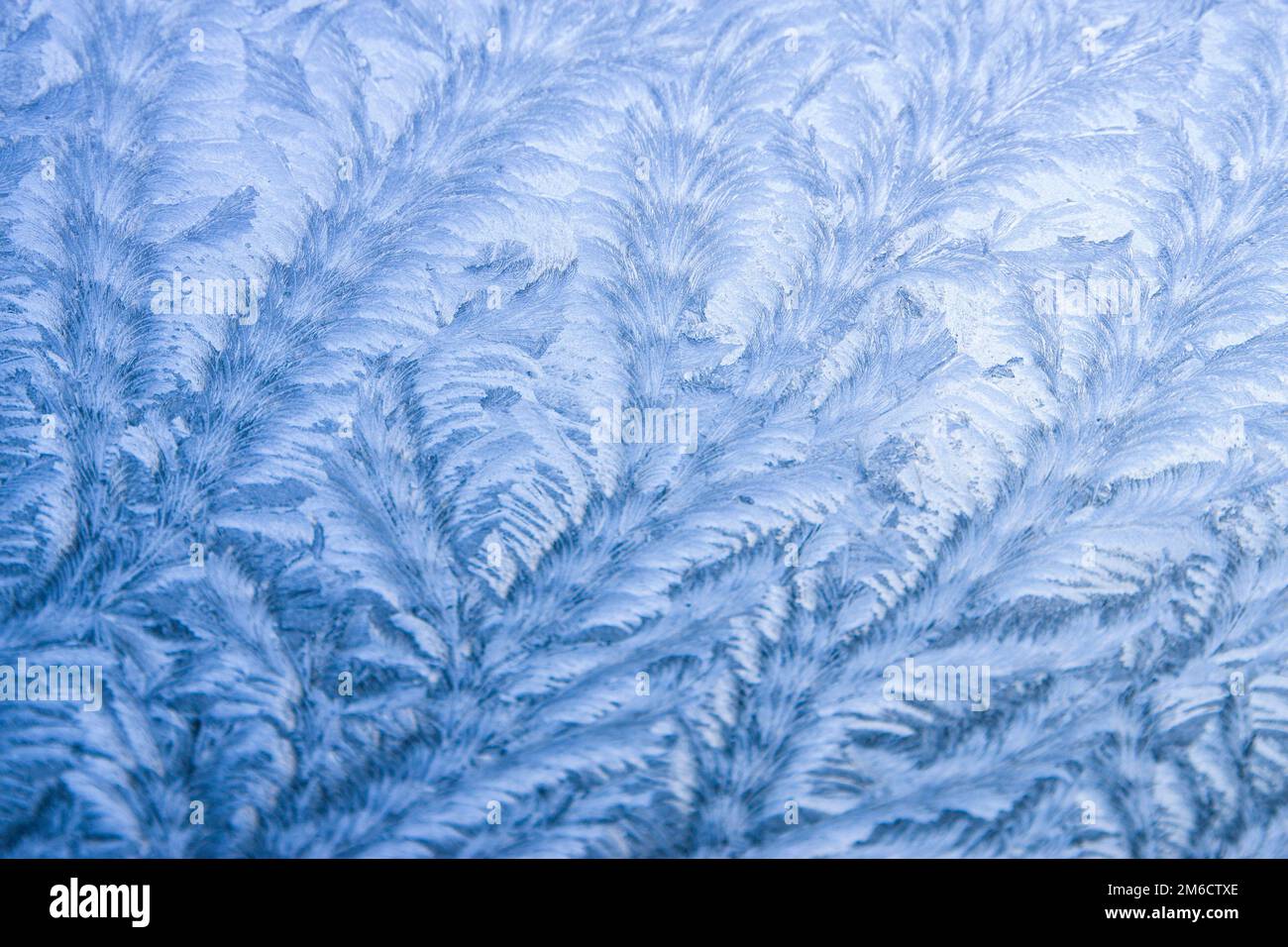 Cold ice frost wet hi-res stock photography and images - Alamy