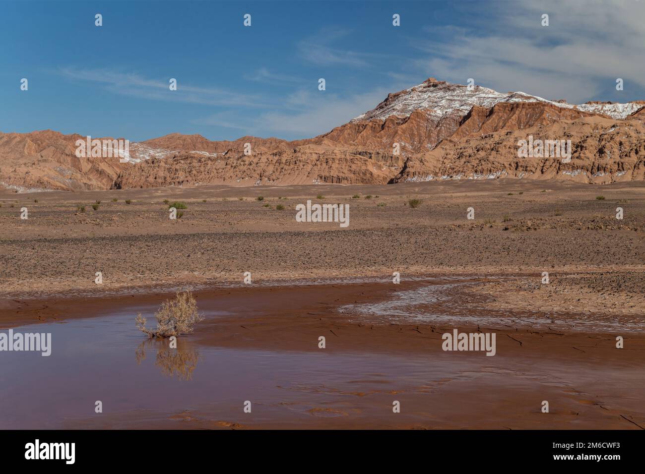 Puddle of water on cracked earth covered with dried salt. Valle de la ...