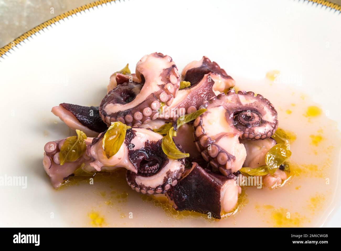 Octopus sea nobody hi-res stock photography and images - Alamy