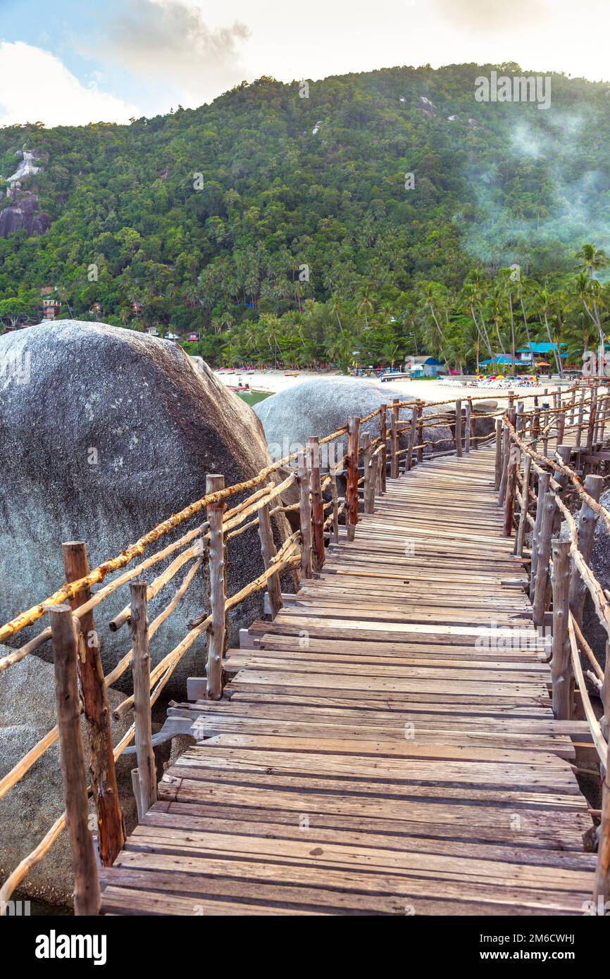 Small bridge at the jungle hi-res stock photography and images - Alamy