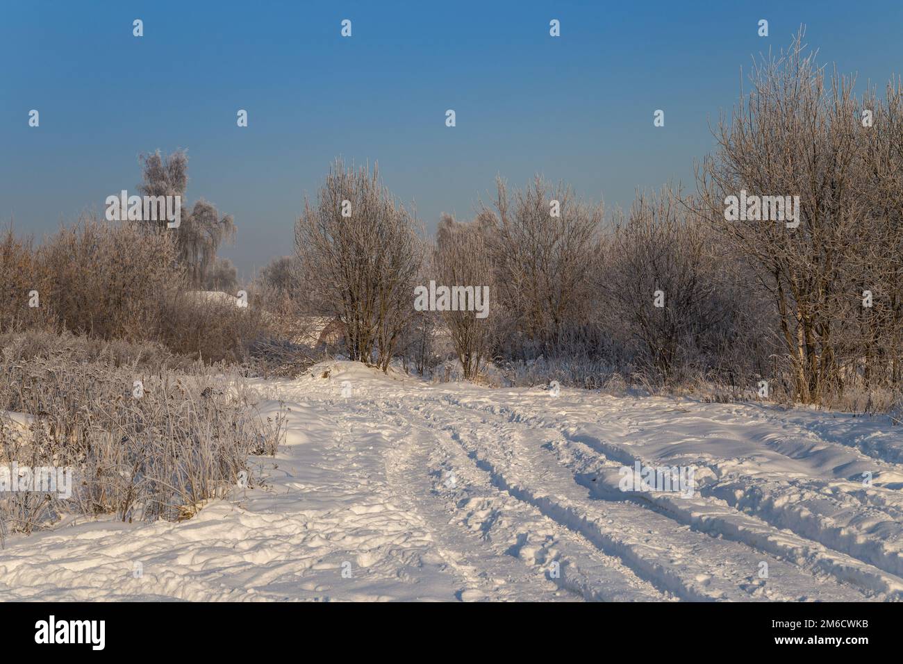 Snowy road leading to a village. Hoarfrost on tree branches on a sunny ...