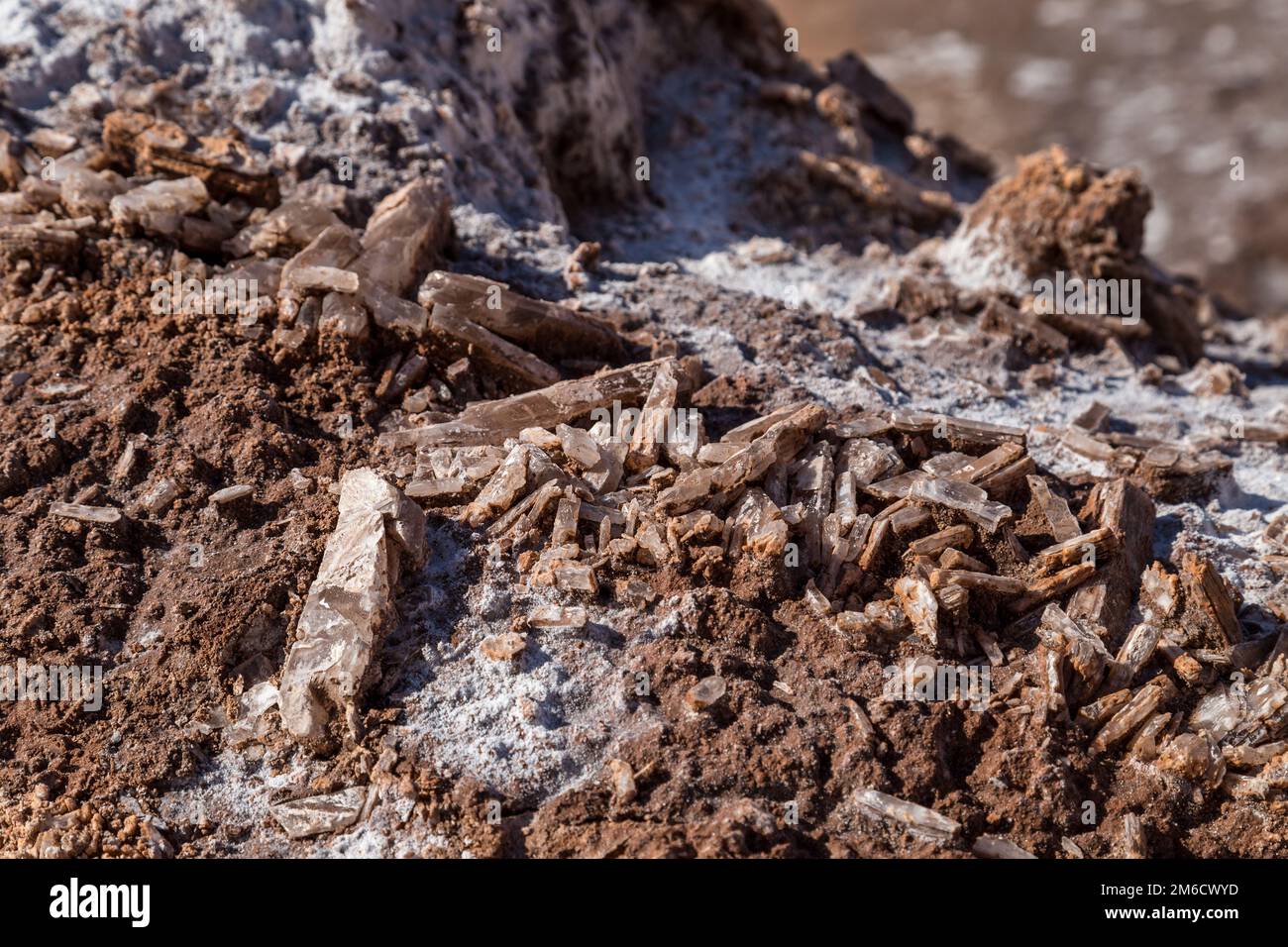 Big crystals of salt in a desert. Valle de la Luna, Atacama, Chile ...