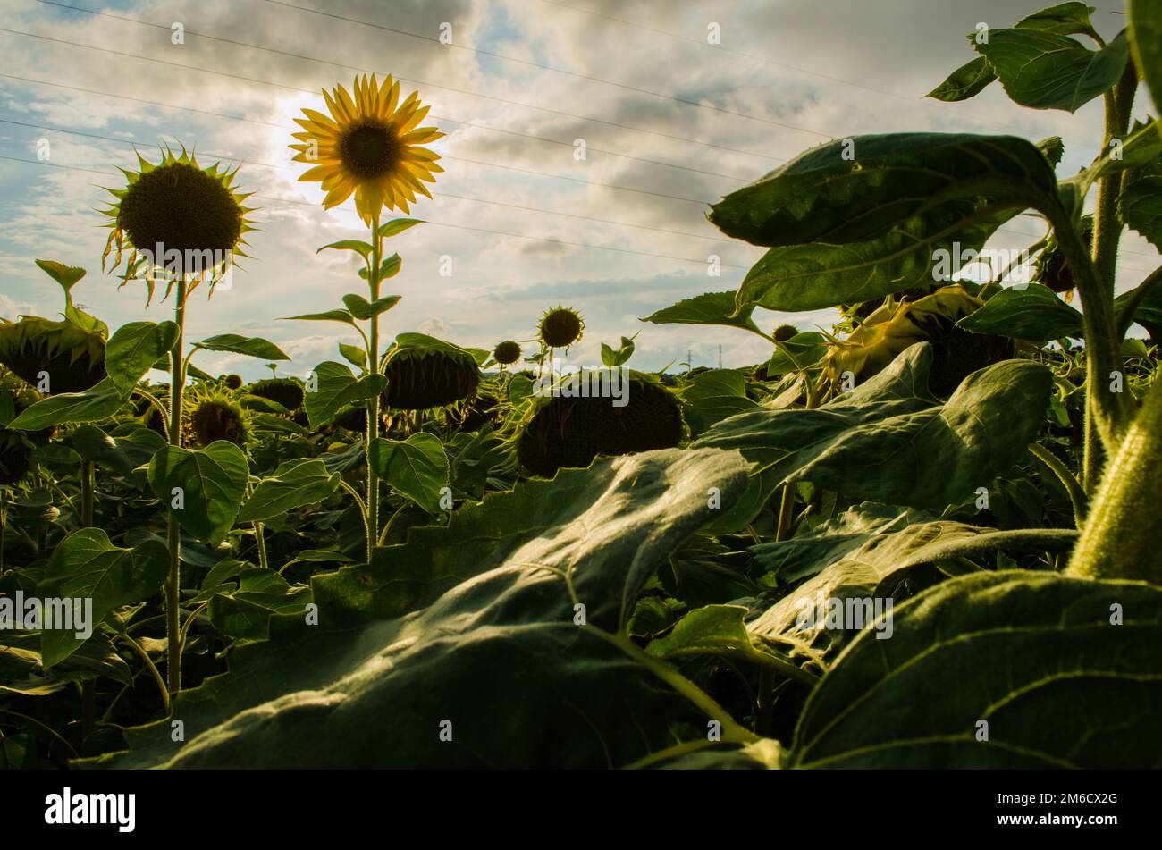Eclipse weather hi-res stock photography and images - Alamy