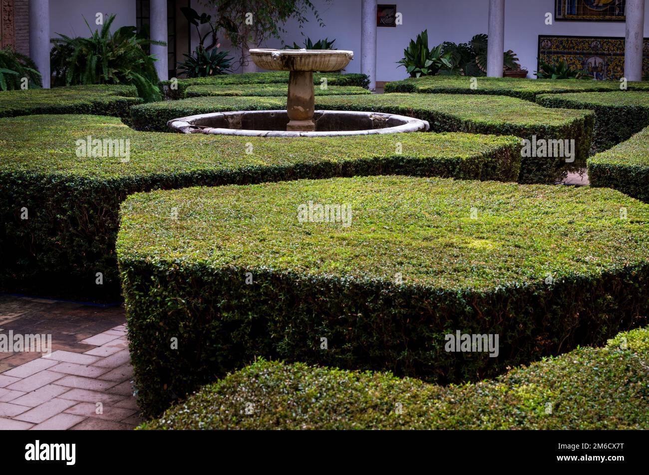 Geometrical shape bushes around the water fountain Stock Photo - Alamy