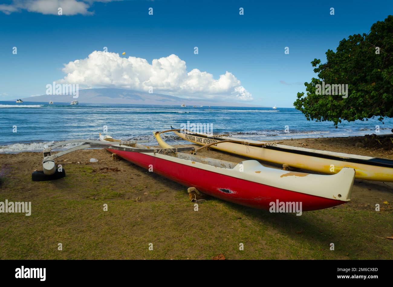 Hawaiian canoe about to take off Stock Photo - Alamy