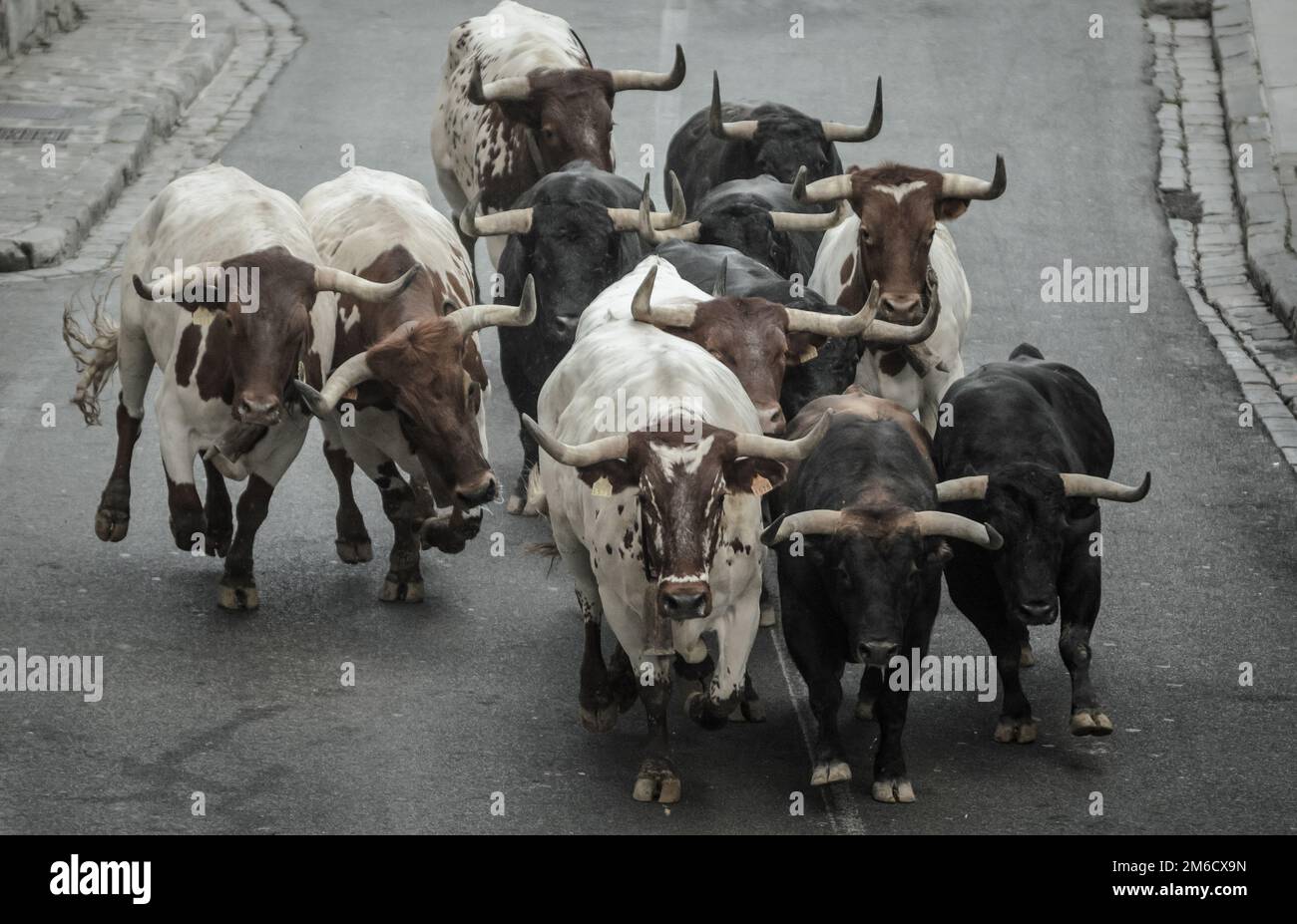 Bulls running in Pamplona Stock Photo - Alamy