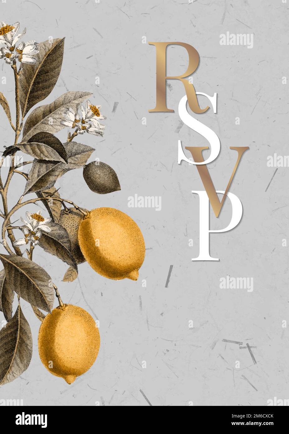 Rsvp vector vectors hi-res stock photography and images - Alamy