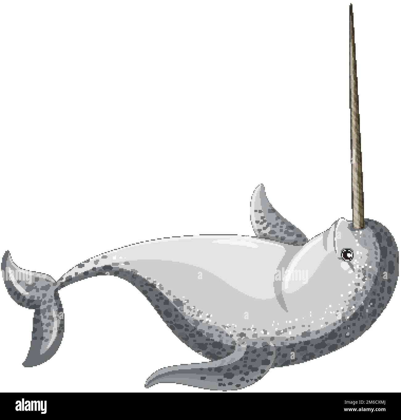 Narwhal on white background illustration Stock Vector Image & Art - Alamy