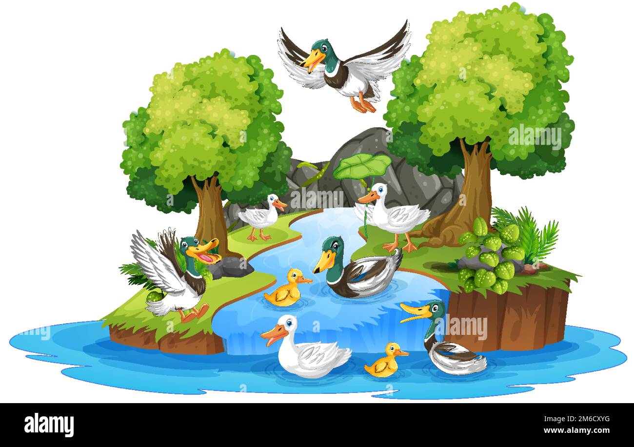 Tree in forest duck Stock Vector Images - Alamy
