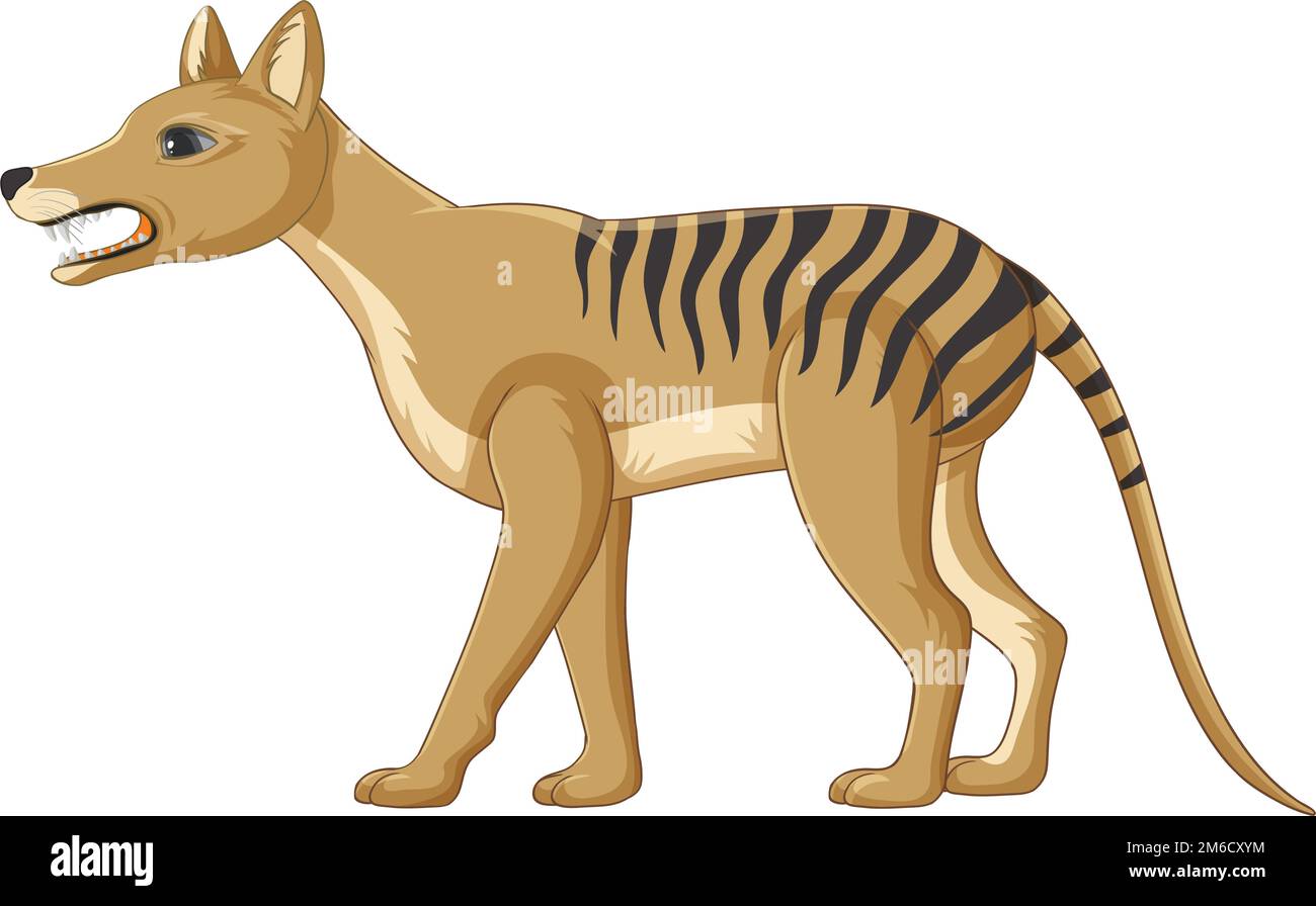 Tasmanian tiger extinct animal vector illustration Stock Vector Image ...