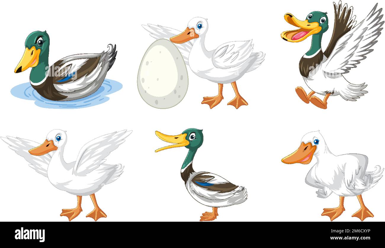 Set of duckling doing different activities illustration Stock Vector ...