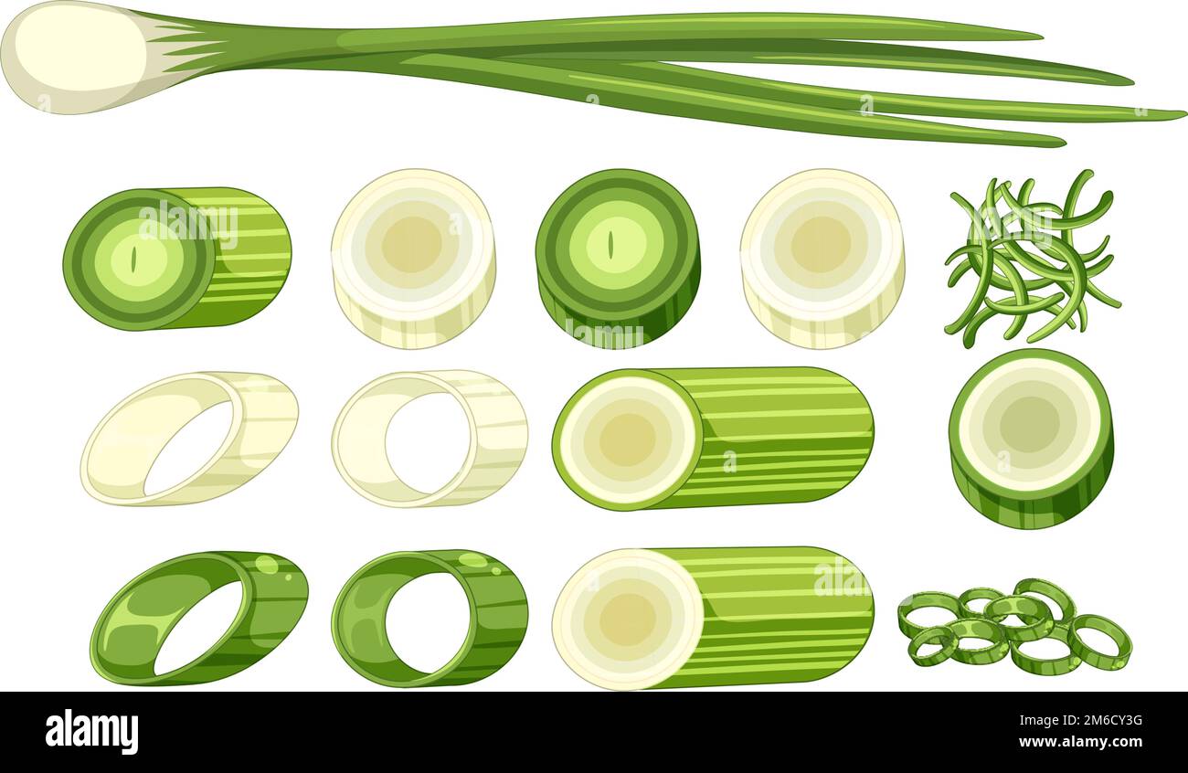Spring onion in different forms illustration Stock Vector Image & Art ...