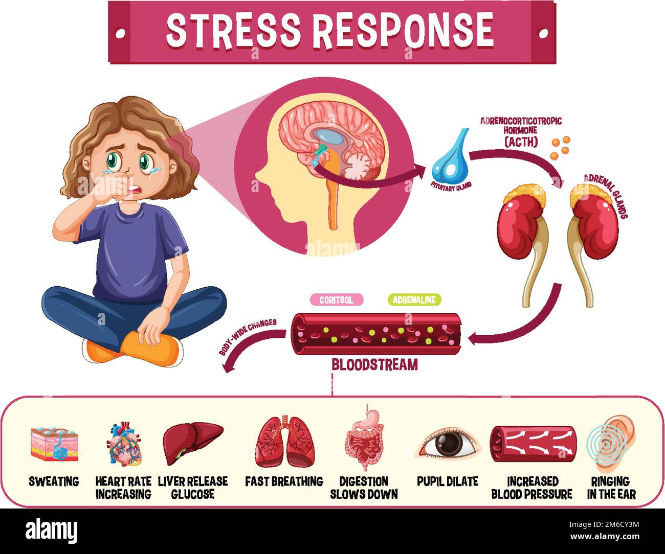 Response Science Diagram Pic