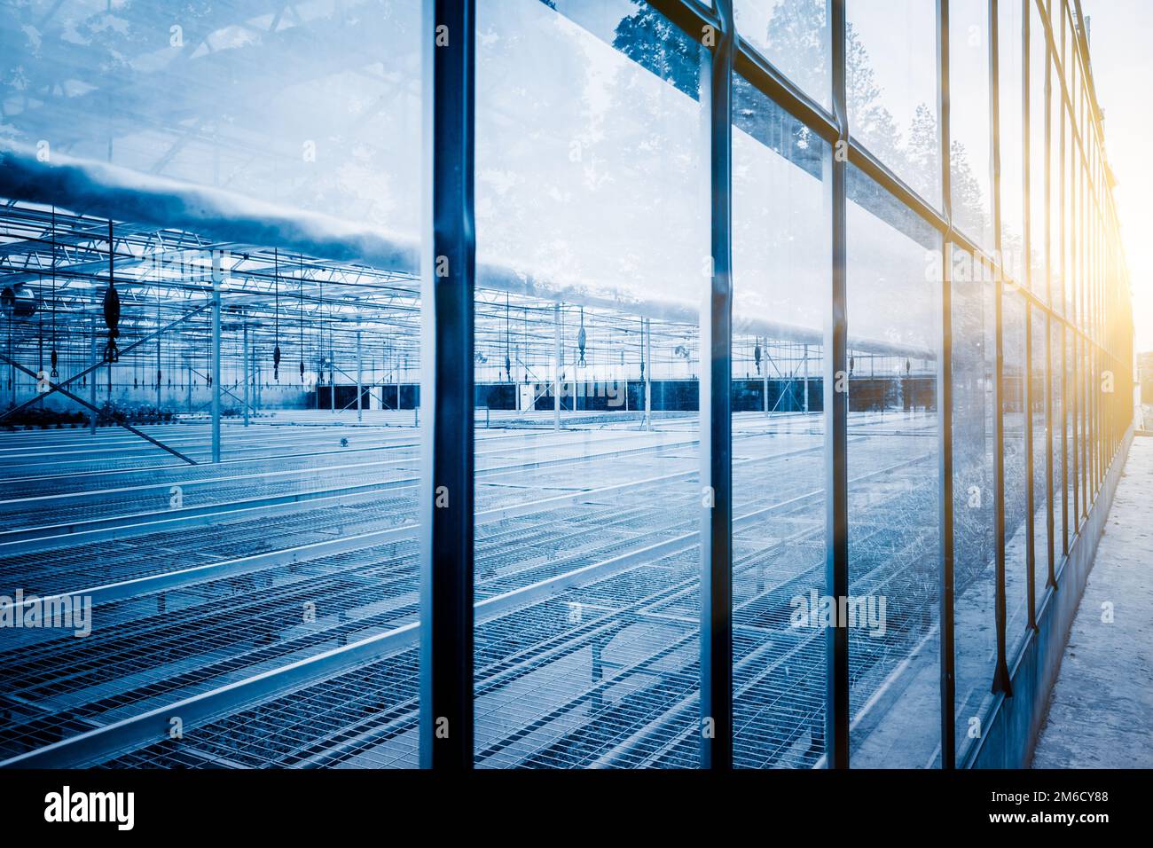 Greenhouse crop hi-res stock photography and images - Alamy