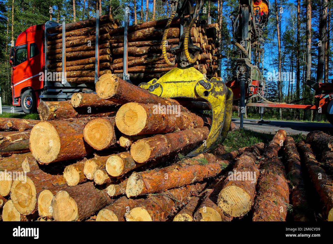 Crane loading logs in the truck Stock Photo - Alamy