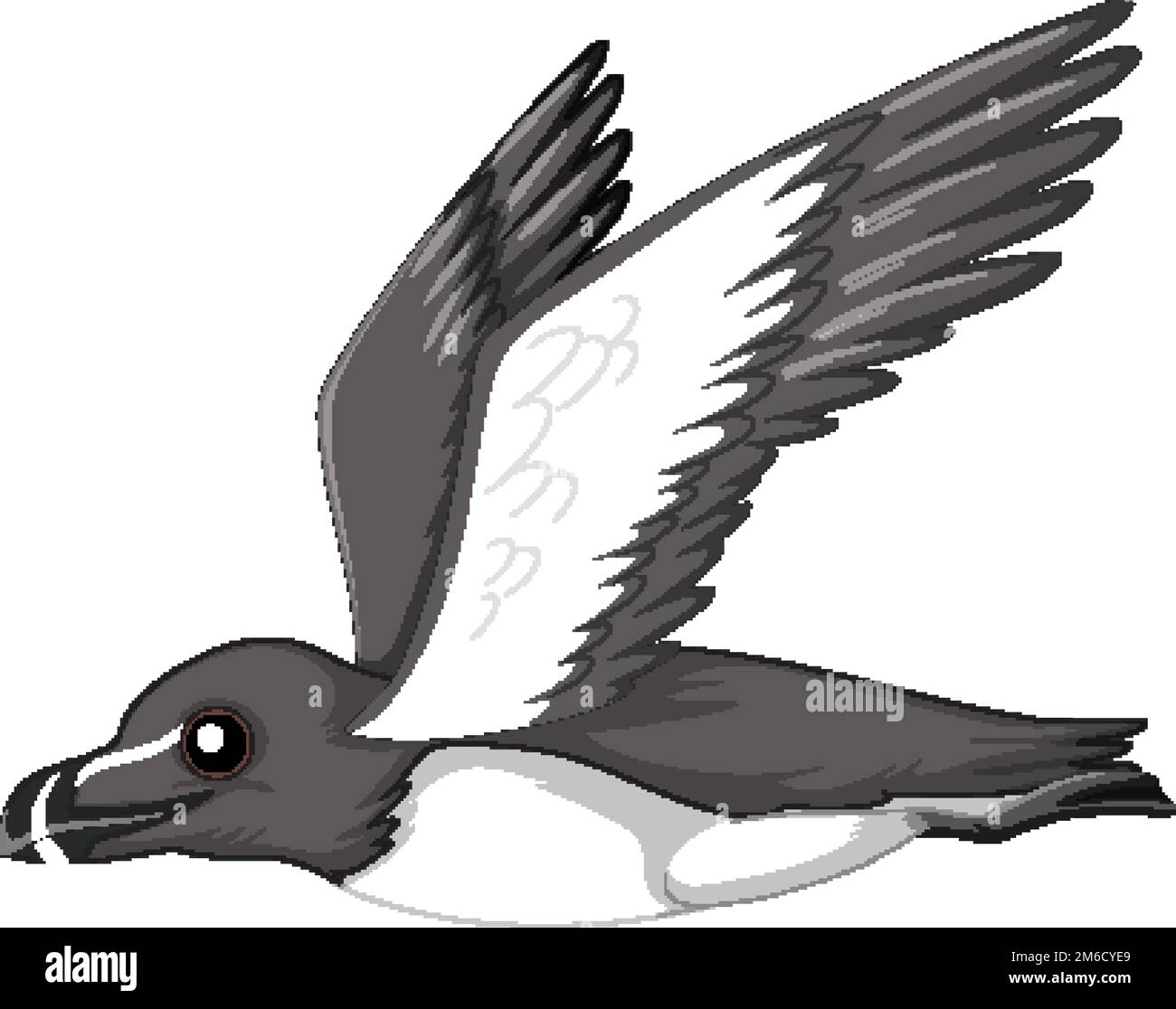 Razorbill bird isolated on white background illustration Stock Vector ...