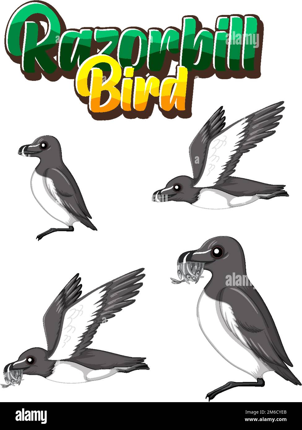 Razorbill birds cartoon character in different poses illustration Stock ...