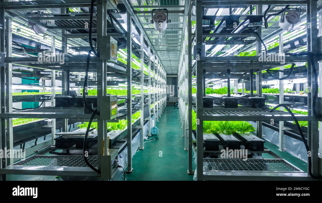 Hydroponic system hi-res stock photography and images - Alamy