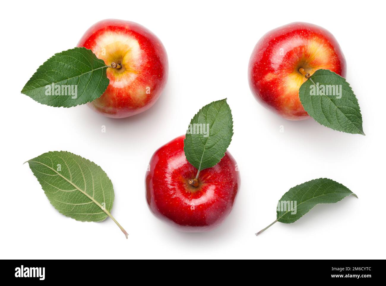 Gala apples leaves on white hi-res stock photography and images - Alamy