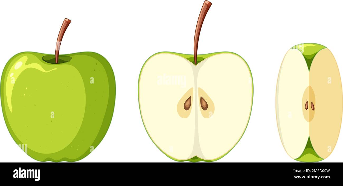 Green apple in whole and sliced pieces illustration Stock Vector Image ...