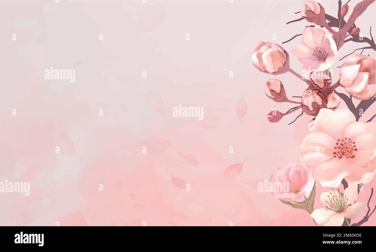 Hand drawn cherry blossoms on a pink background vector Stock Vector ...