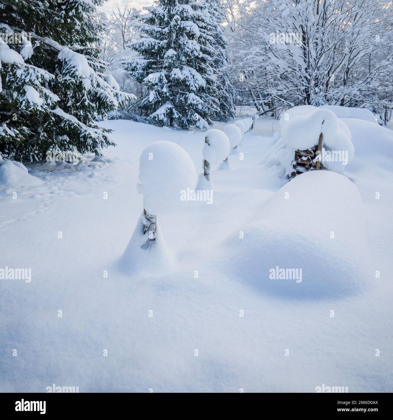 Snow covered rustic fence hi-res stock photography and images - Alamy