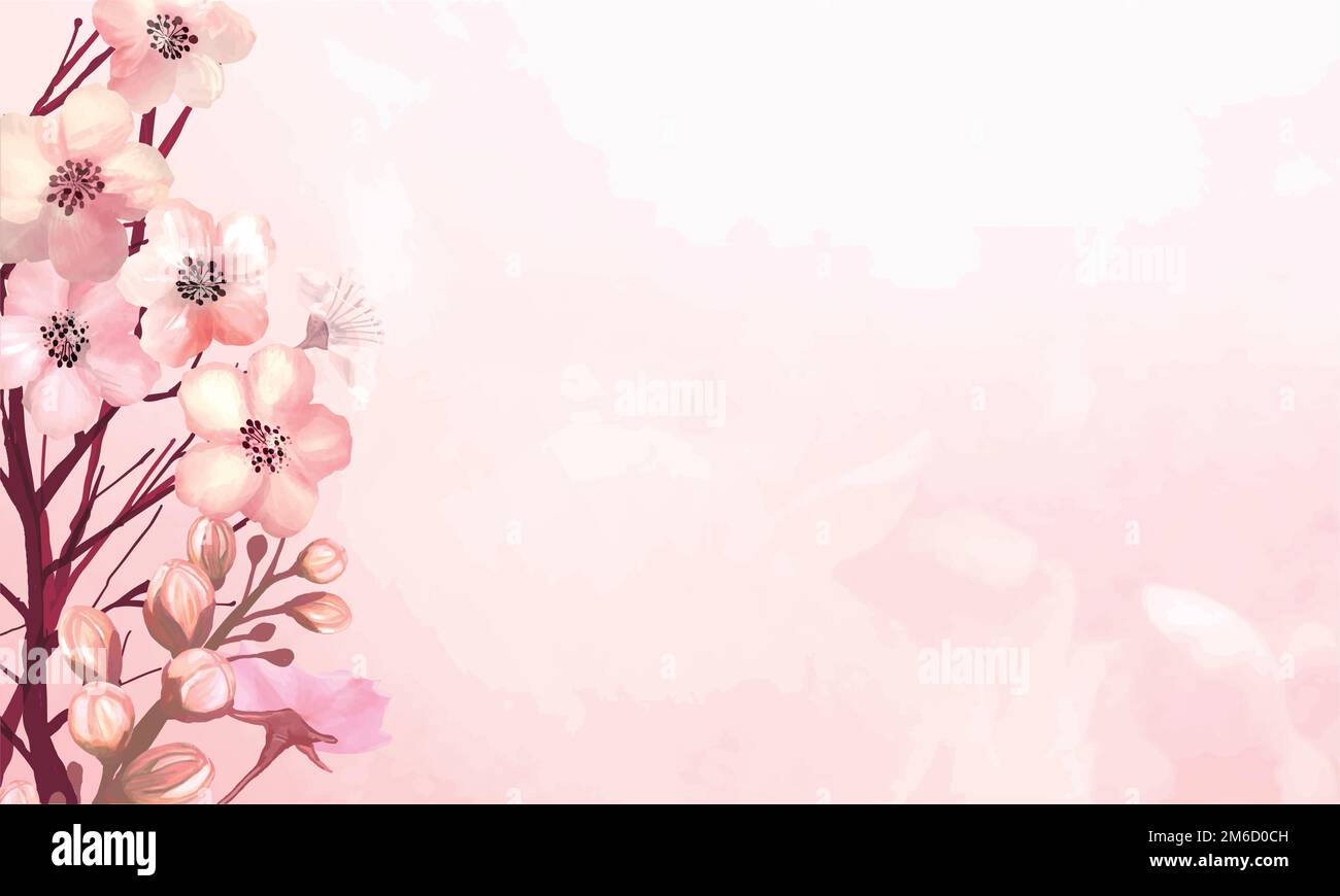 Hand drawn cherry blossoms on a pink background vector Stock Vector ...