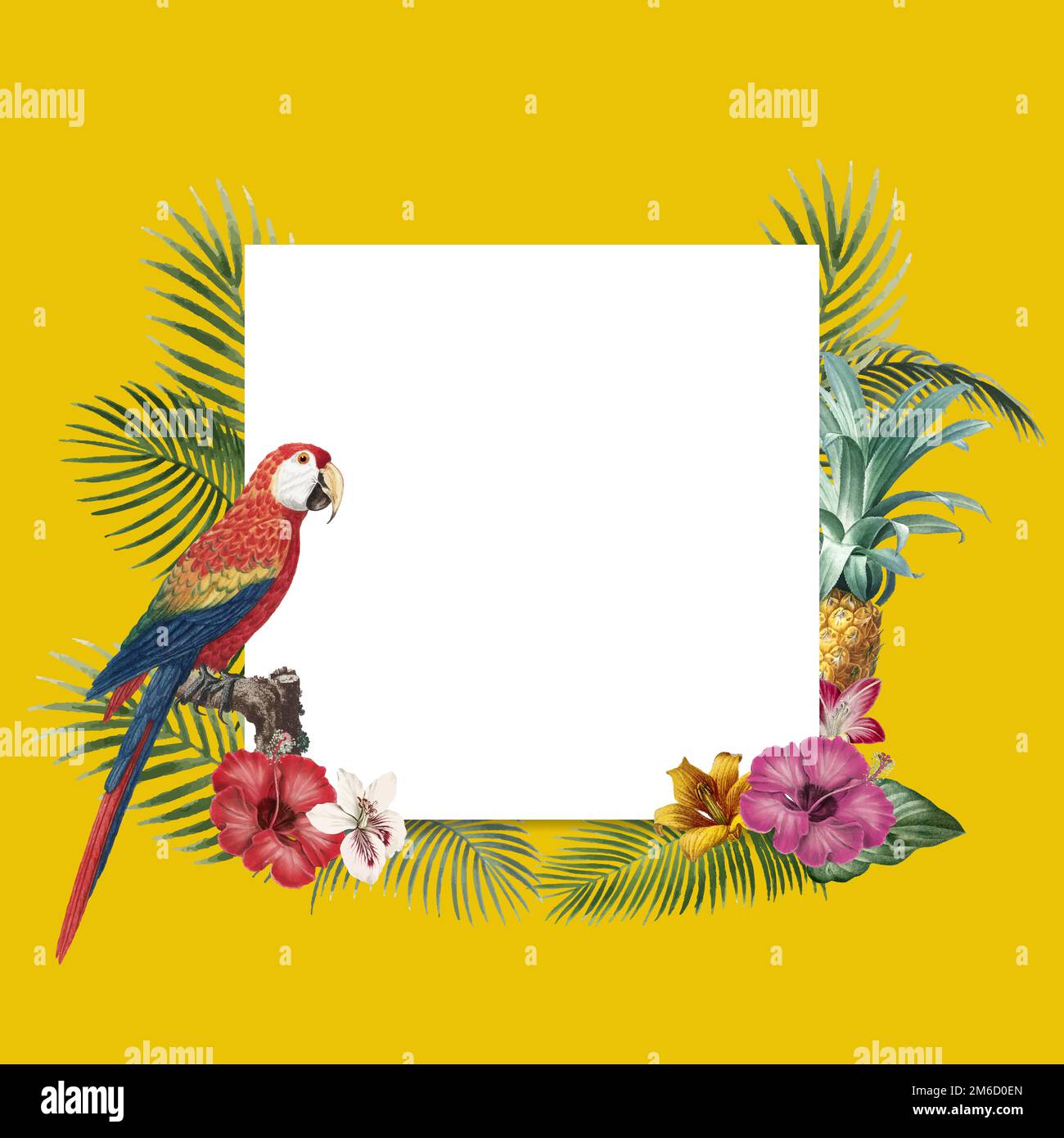 Tropical square frame on yellow background vector Stock Vector Image ...