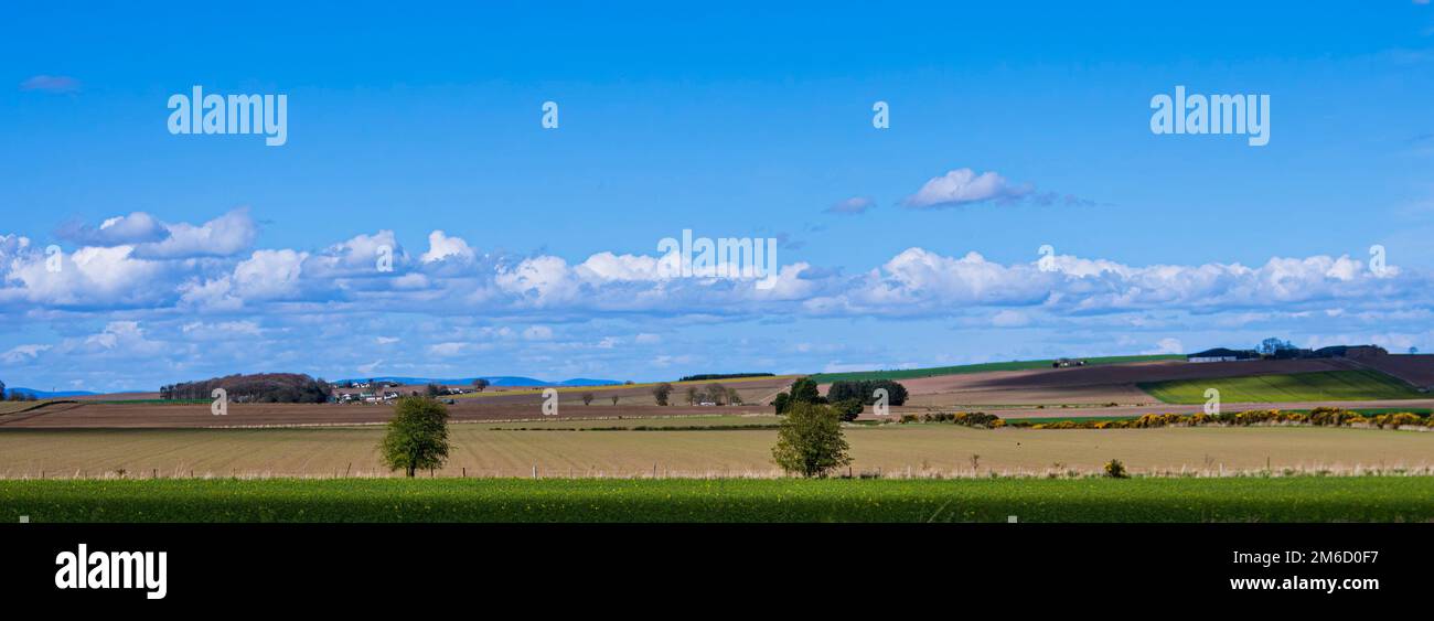 Scottish farmland. Trees, fields, blue sky & clouds. A few buildings in ...