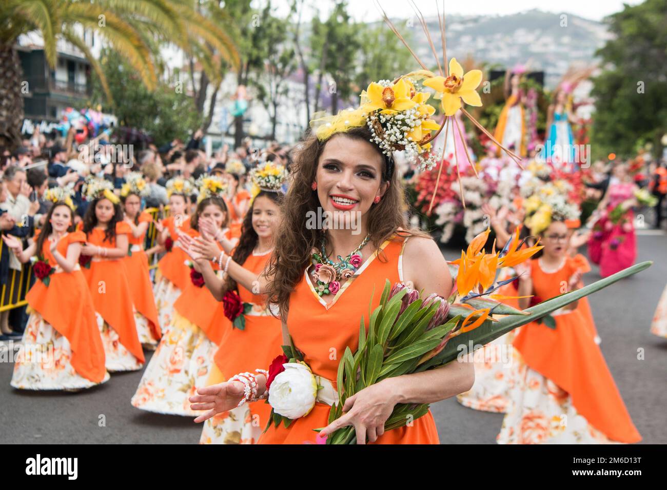 Culture of madeira hi-res stock photography and images - Alamy