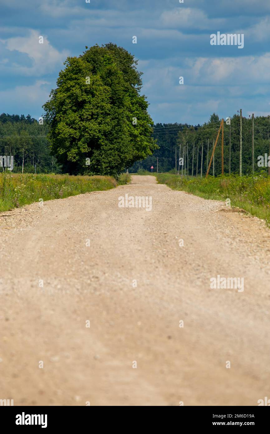 Empty landscape tree hi-res stock photography and images - Alamy