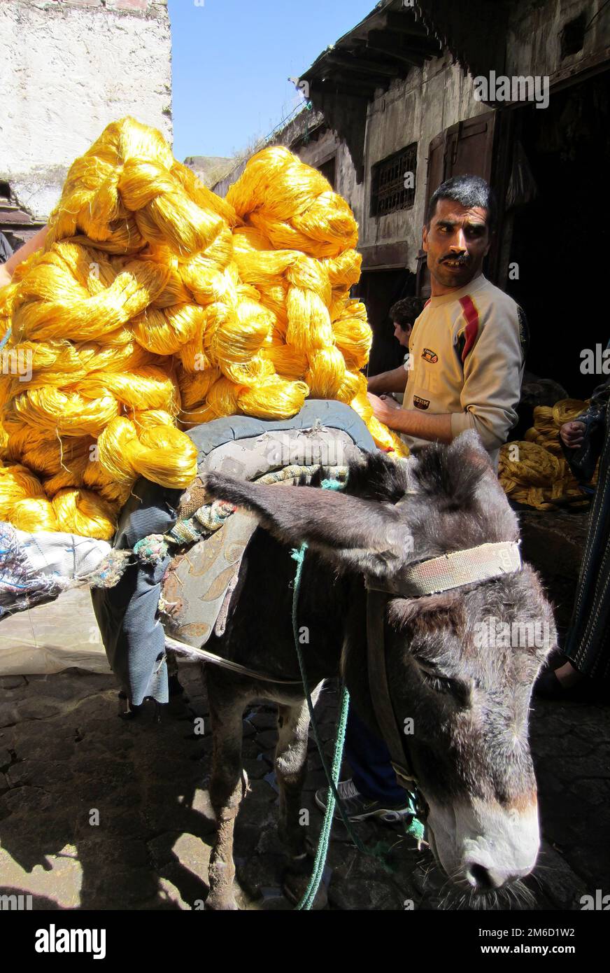 Gold donkey hi-res stock photography and images - Alamy