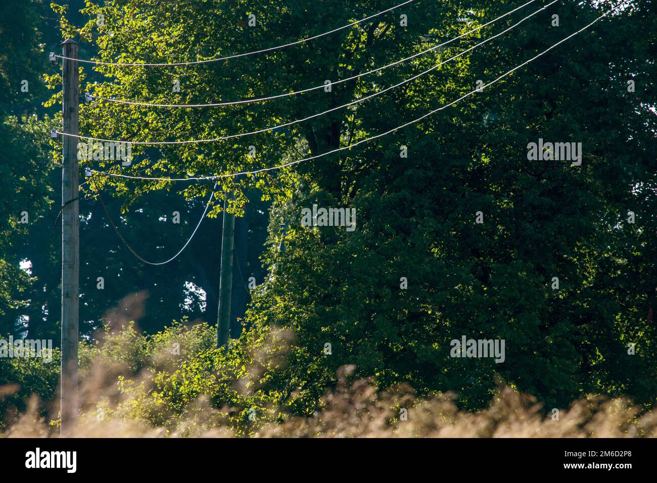 Power line communication hi-res stock photography and images - Alamy