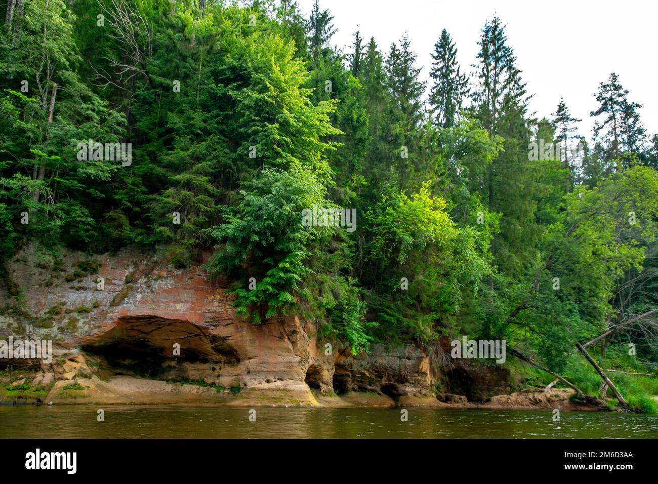 Landscape with river, cliff and forest in Latvia Stock Photo - Alamy