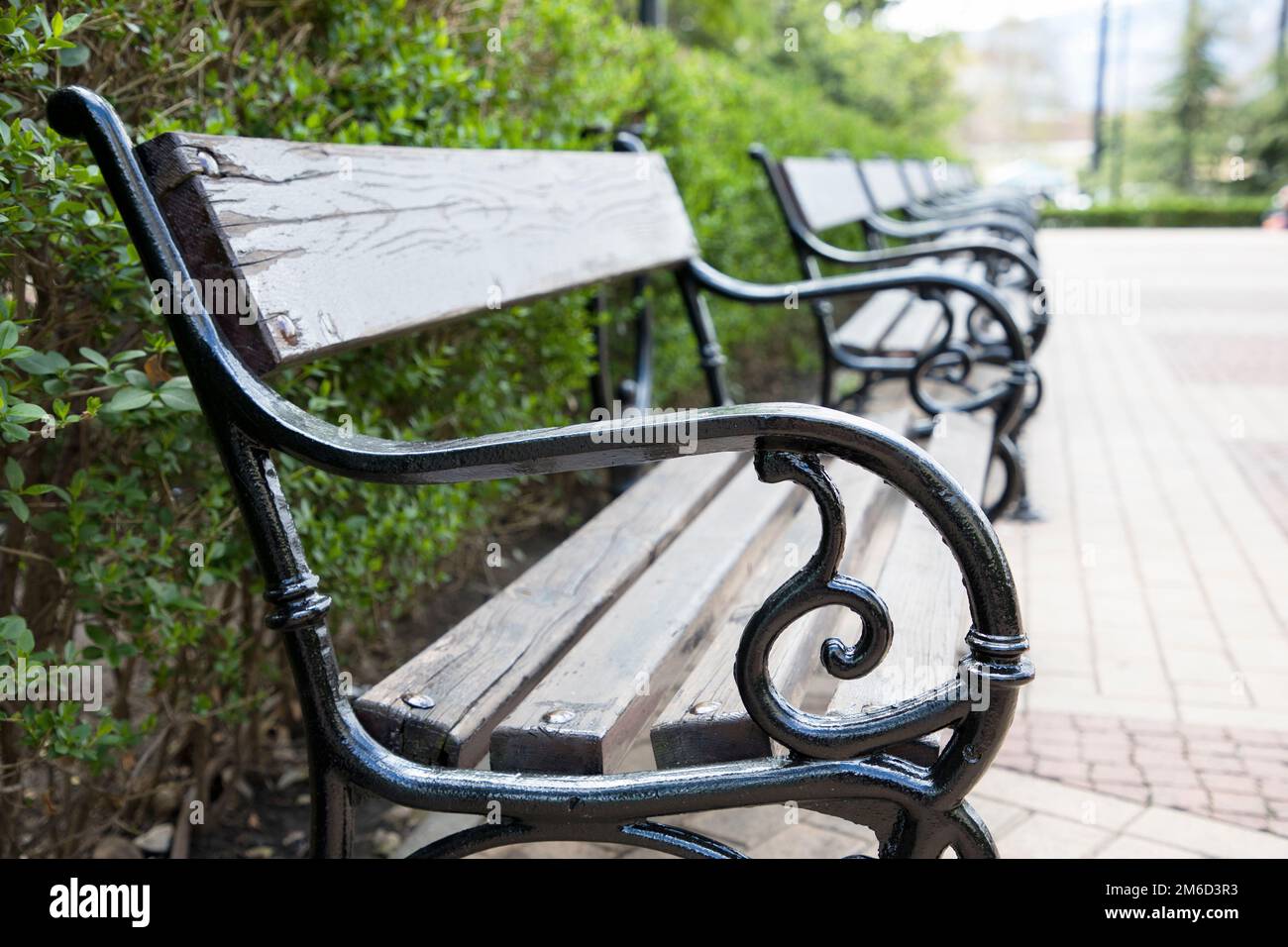 Wood benches hi-res stock photography and images - Alamy