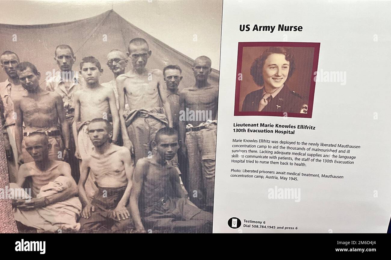 In 1945, Army nurse, Lt. Marie Knowles Elifritz, 22, was deployed as ...
