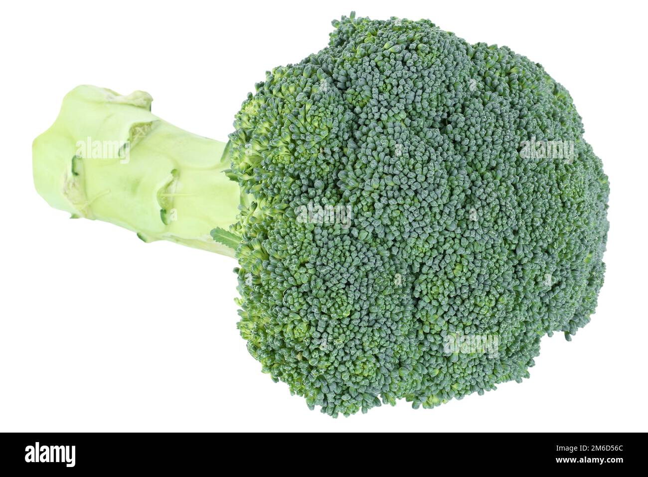 Broccoli fresh food vegetable isolated Stock Photo - Alamy