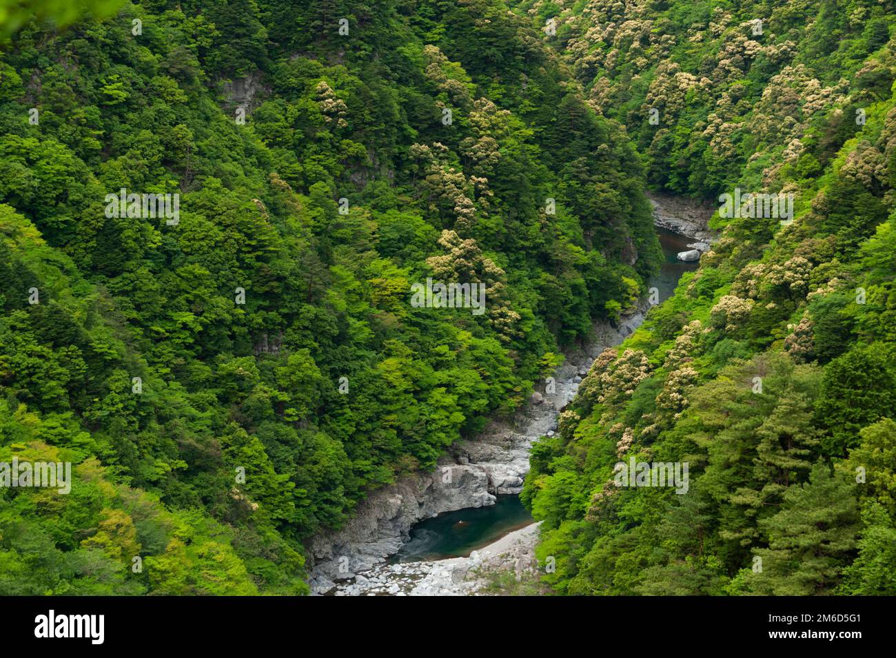 Iya valley tokushima hi-res stock photography and images - Alamy