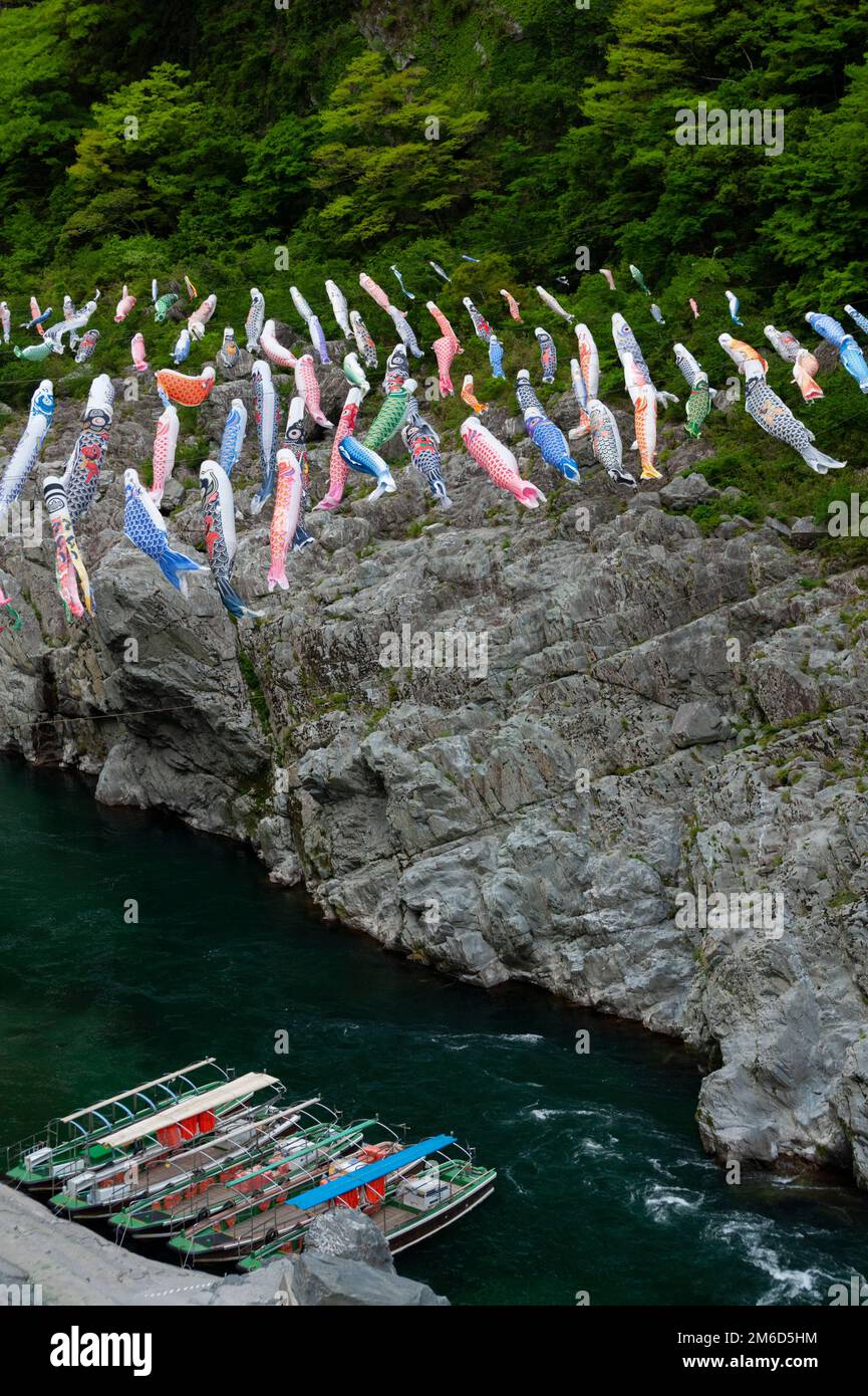 Koinobori carp flags fly over the Oboke gorge, Iya Valley, Shikoku ...