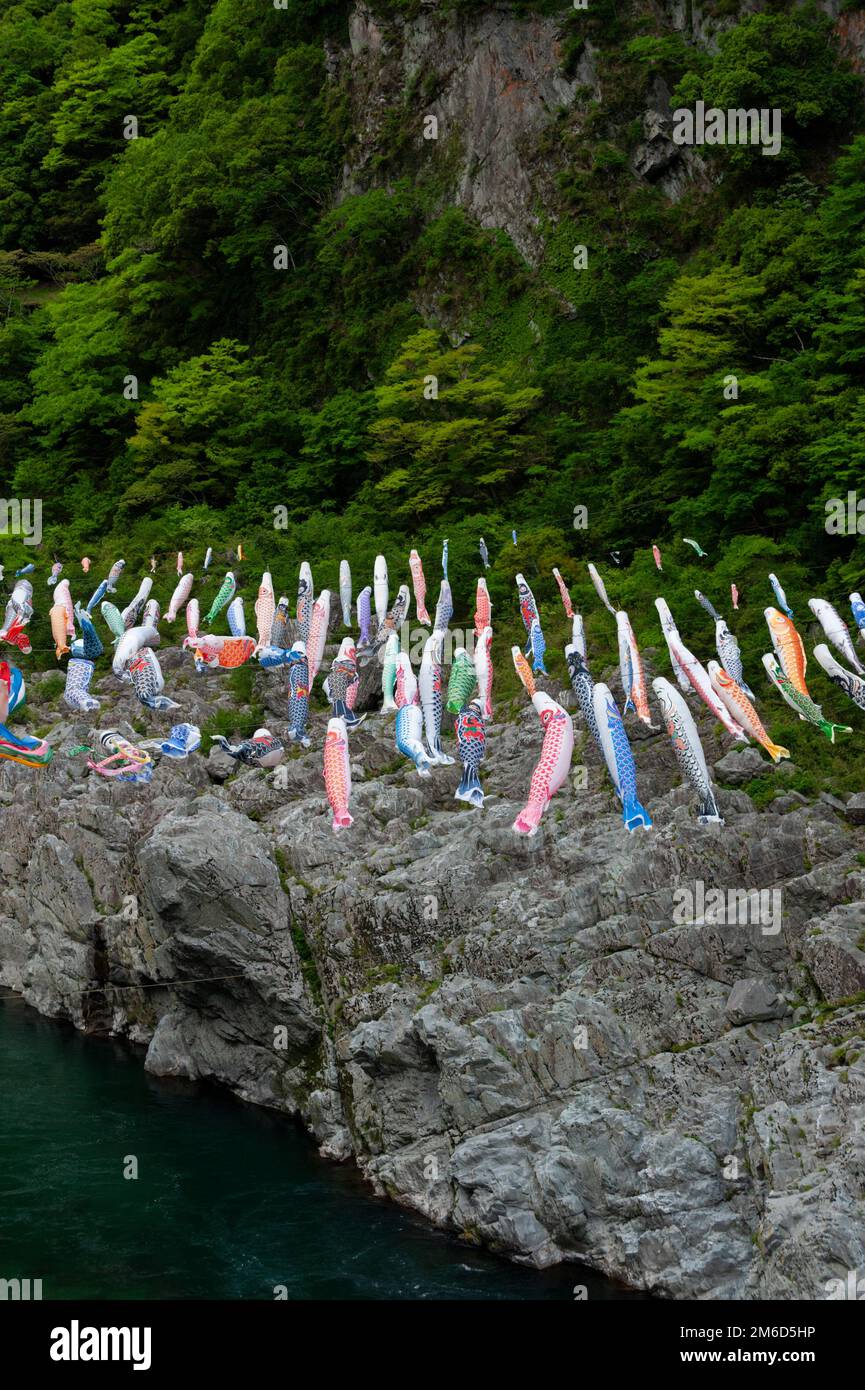Koinobori carp flags fly over the Oboke gorge, Iya Valley, Shikoku ...