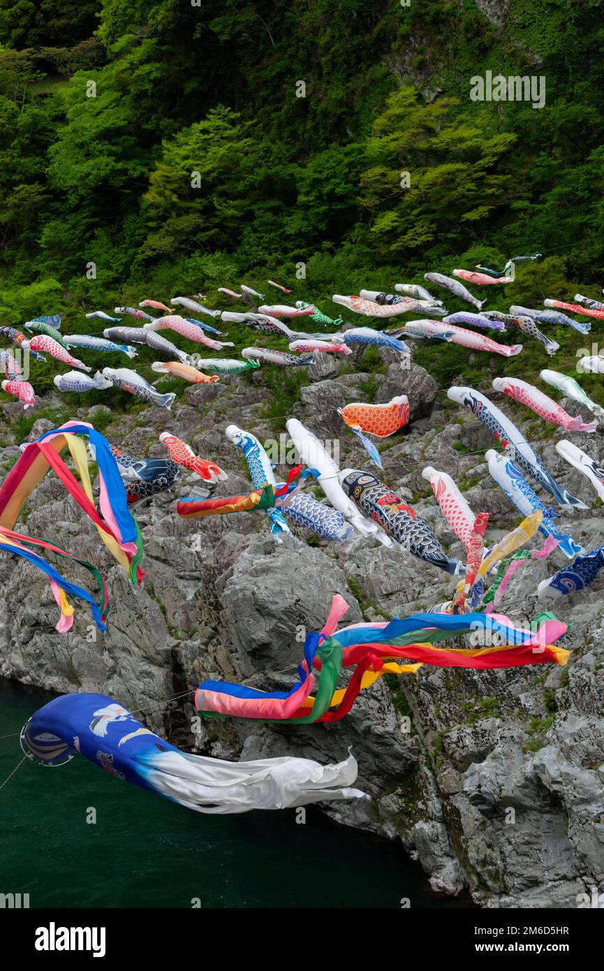 Koinobori carp flags fly over the Oboke gorge, Iya Valley, Shikoku ...